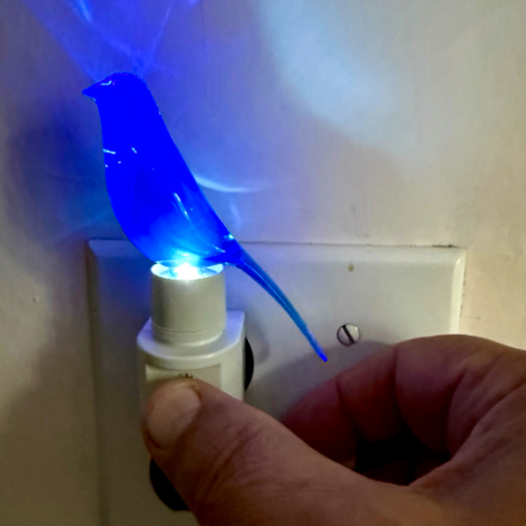 Stream TMBG's John F. guest DJs on Indie 102.3 CO Public Radio's Sunday ...