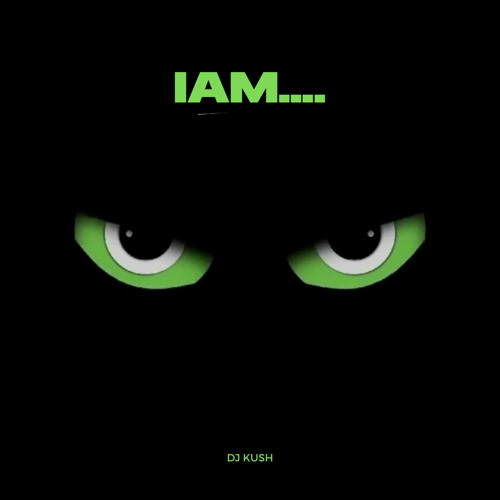 Stream DJ Kush | Listen to Iam…. playlist online for free on SoundCloud