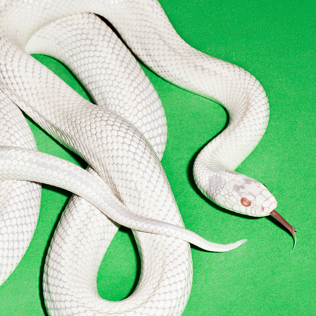 Stream Deftones | Listen to private music playlist online for free on ...