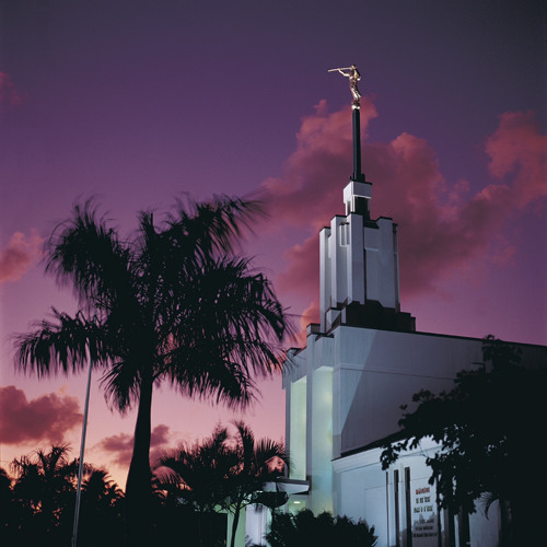 Stream Kuulitapa | Listen to Tongan himi playlist online for free on ...