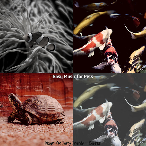 Stream Easy Music for Pets | Listen to Music for Furry Friends - Guitar ...