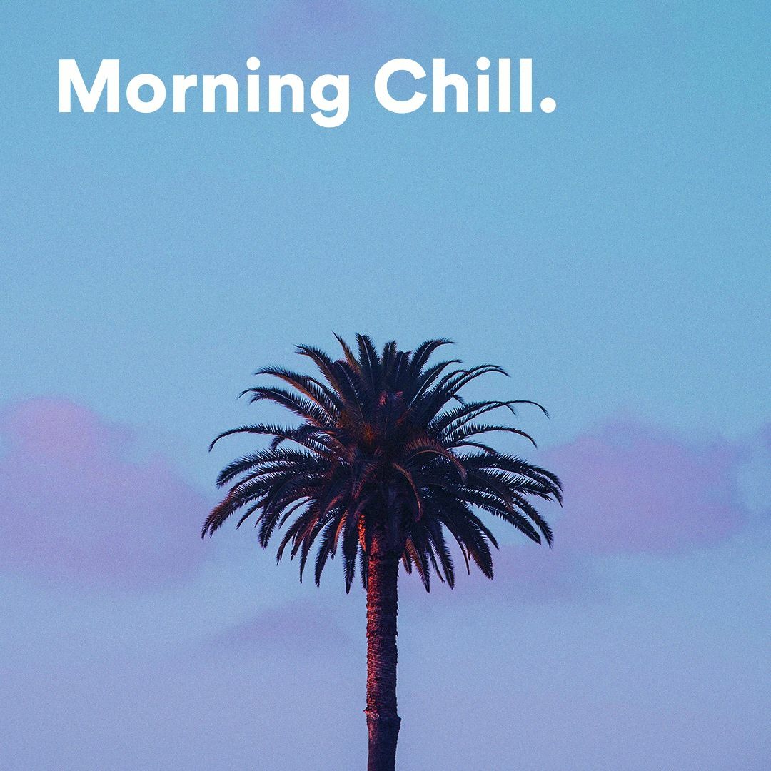 Stream Setting Sail Records | Listen to Morning Chill ☕: Morning Vibes ...