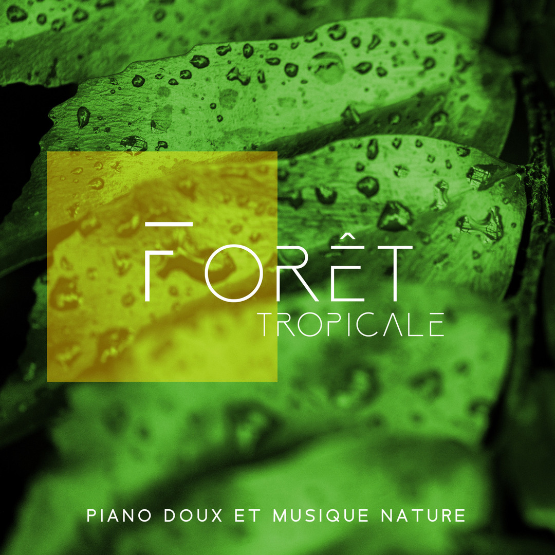 Stream Ensemble de Musique Zen Relaxante | Listen to Forêt tropicale ...
