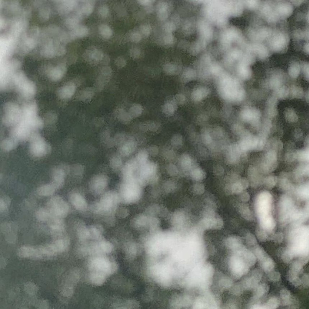 Stream Lets Paint Random And Chaotic By Glxx Listen Online For