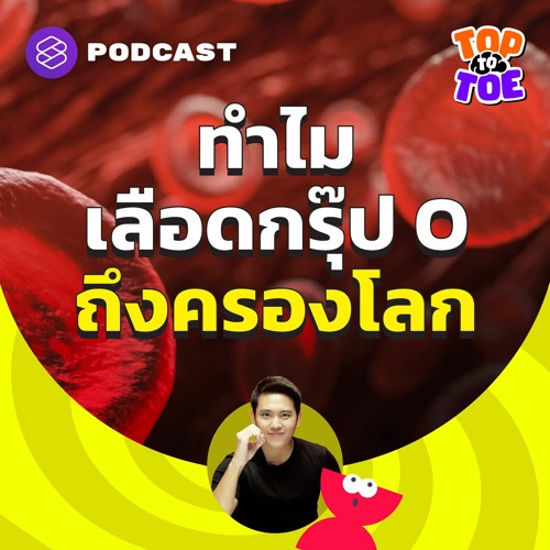 Stream Top to Toe EP.32 กรุ๊ปเลือดบอกนิสัยได้จริงไหม กินตามกรุ๊ปเลือดดี ...