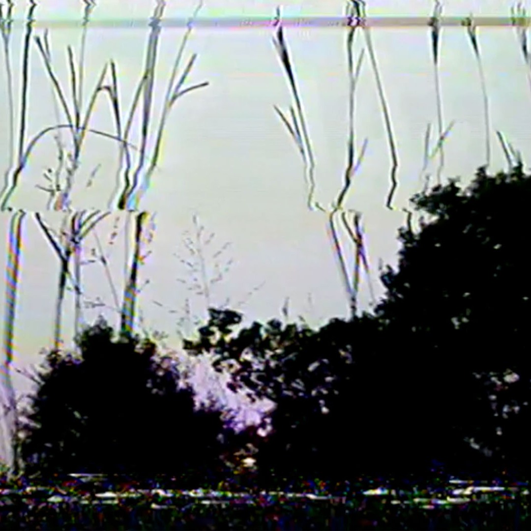 Stream Kid Andre & trees - leaveitatthetone (feat. Jesse Barnett) by ...