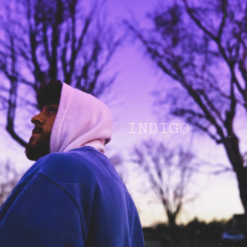 Stream Cousin Vinnie | Listen to INDIGO playlist online for free on ...