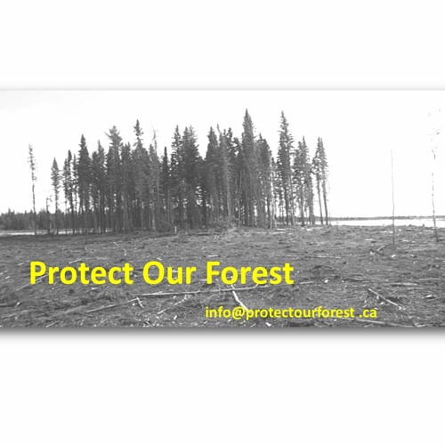 Stream Peter Prebble - Building Alternatives For Reducing CO2 Emissions ...