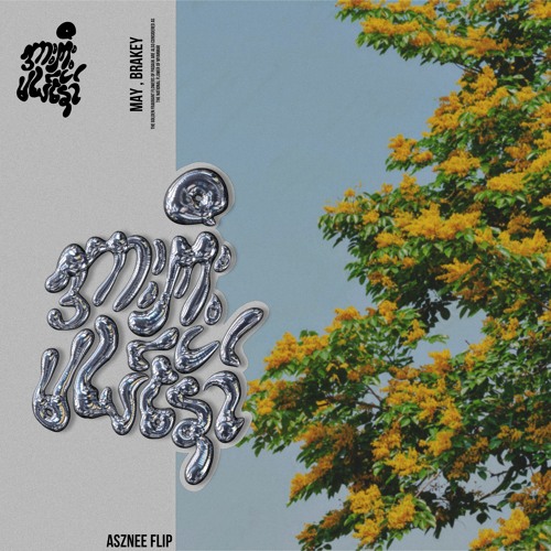 Stream Arr Koe ML Naw (ASZNEE Flip) by Asznee | Listen online for free ...