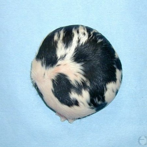 Stream :) by purity://filter | Listen online for free on SoundCloud