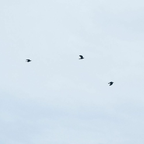 Stream don't talk to me (jxie beats) by gwilk | Listen online for free ...