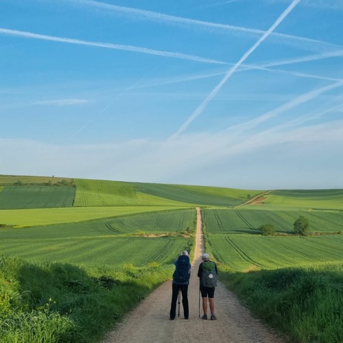 Stream Walk Onward by George Mowrer | Listen online for free on SoundCloud