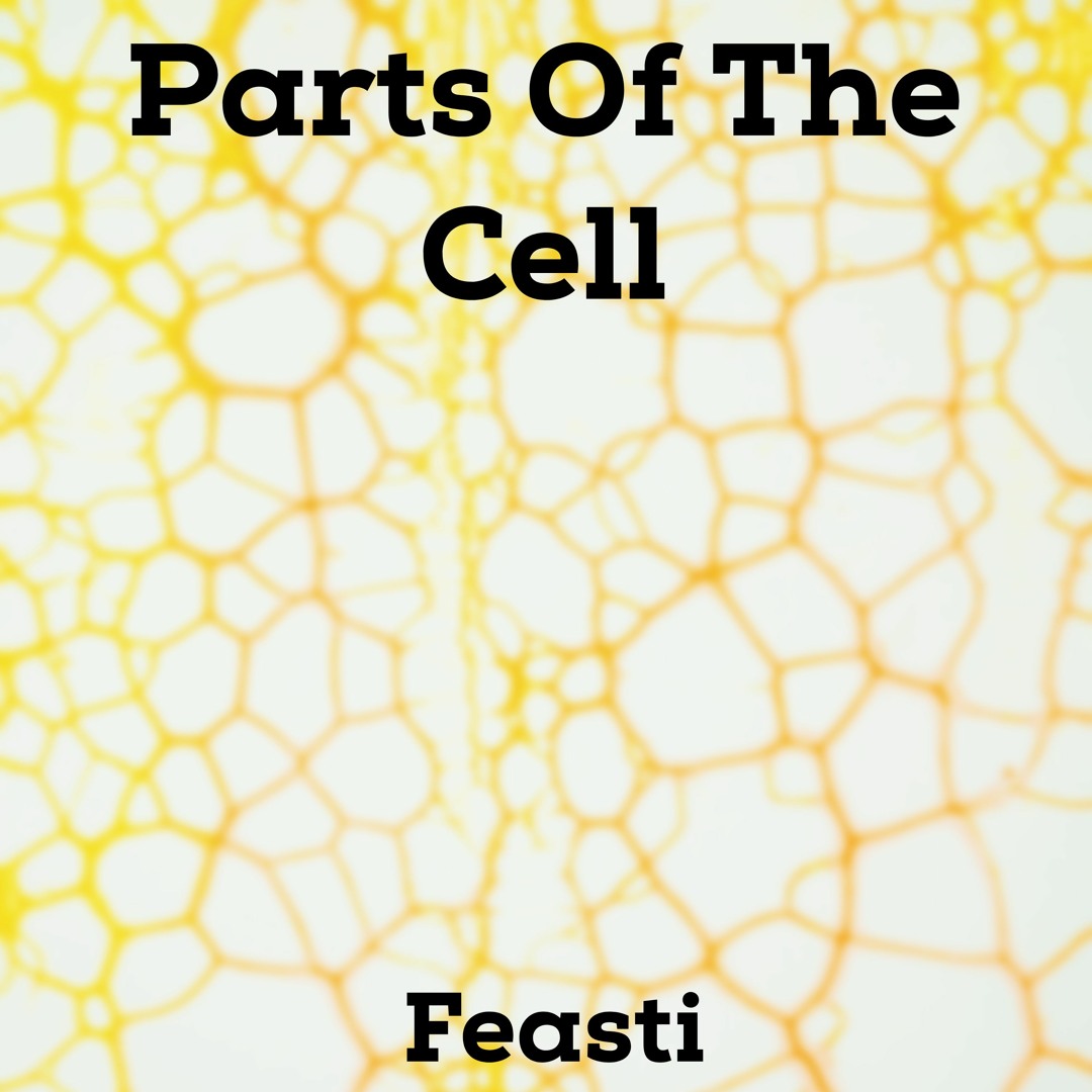 Stream Parts Of The Cell by Feasti | Listen online for free on SoundCloud