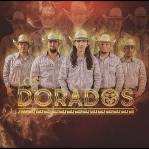 Listen to music albums featuring Los Dorados Mix Exitos 2022 (Cumbia ...