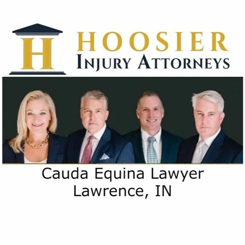 Stream episode Cauda Equina Lawyer Lawrence, IN by Hoosier Injury ...