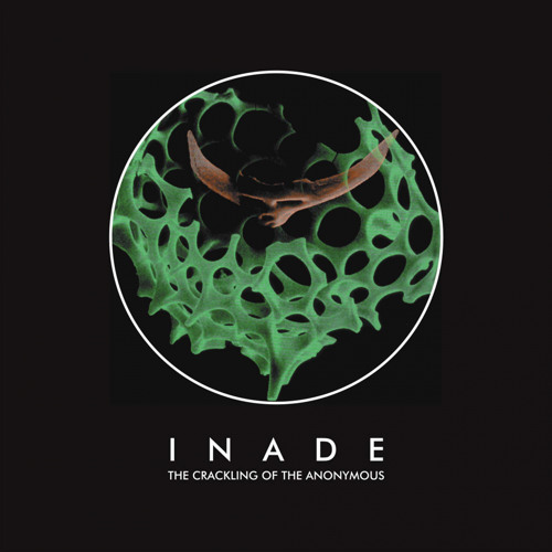 Stream Disconnecting States by Inade | Listen online for free on SoundCloud