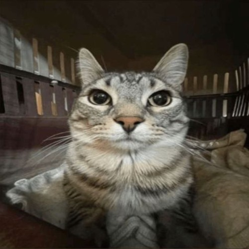 Stream lkol | Listen to lol playlist online for free on SoundCloud