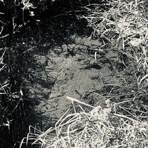 Stream An Old Life by Kent Macpherson | Listen online for free on ...