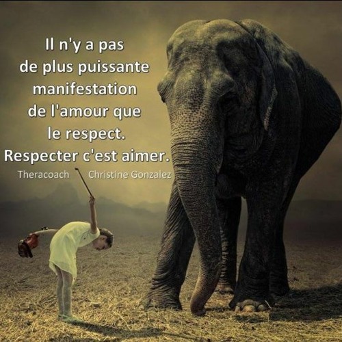 Stream Respect ( 2024 Collab Manuel Marques & J-Luc Hardy ) by Manuel ...