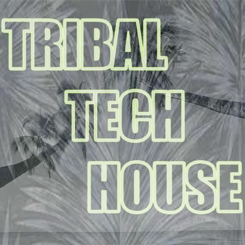 Stream TRIBAL TECH HOUSE by EDR | Listen online for free on SoundCloud