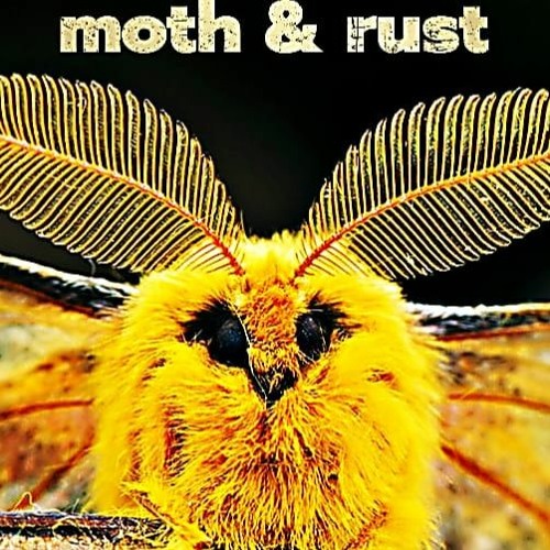 Stream Moth & Rust - Little Brown Birds by nekroniblis | Listen online ...
