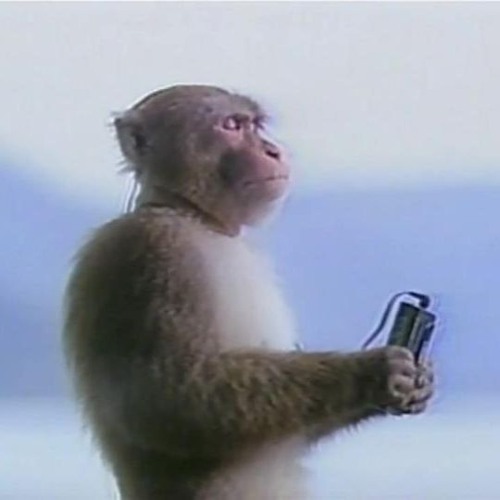 Stream caseoh strawberry cheesecake by sabre de xebec | Listen online ...