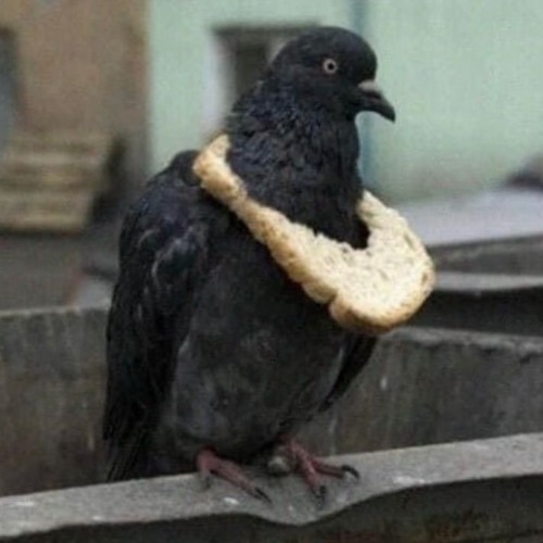 Stream Mr. Tardy man (LOUDMOUTH cardigan flip) by LOUD MOUTH | Listen ...