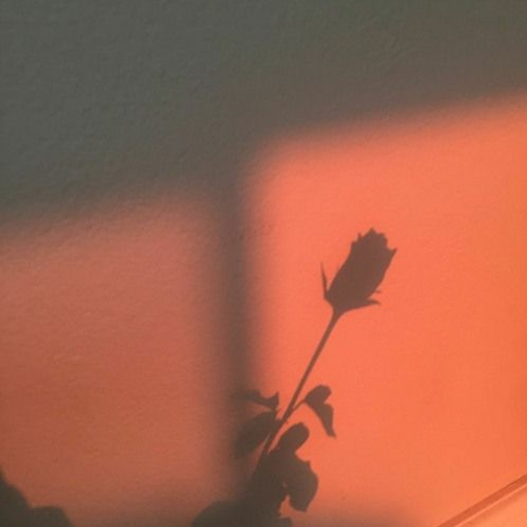 Stream golden hour [w. dontcry & 王OK] by nohidea. | Listen online for ...