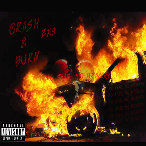 Stream Crash & Burn - ZK9 by OFFICIAL ZK9 | Listen online for free on ...