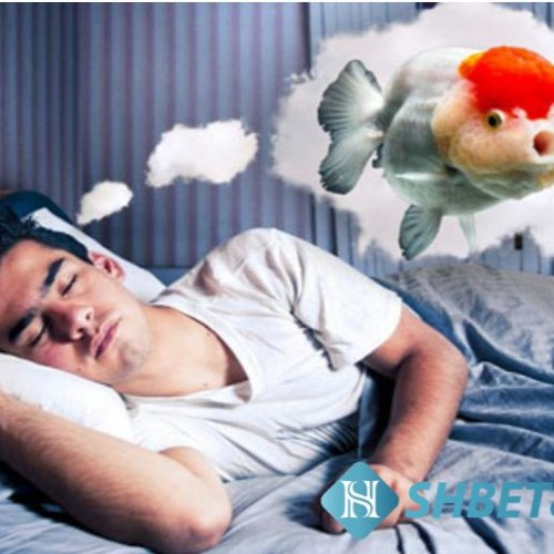 Stream Ngủ mơ thấy cá điềm báo điều gì? by Nhà Cái SHBET88 | Listen ...