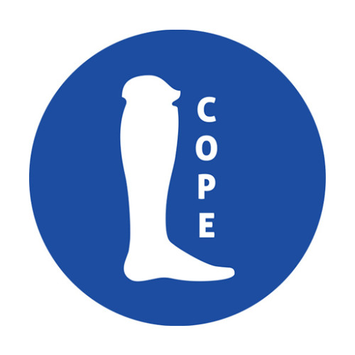 Stream Episode Cope Des 98 An Assessment By Xyzartcenter Podcast