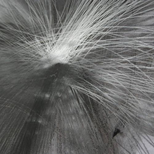 Stream Nebula by Ian Haddock | Listen online for free on SoundCloud