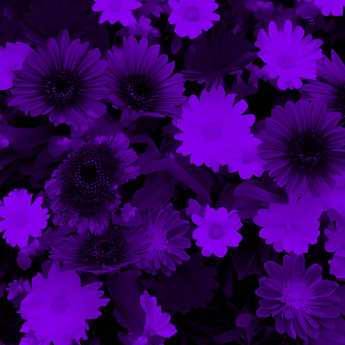 Stream MRL | Listen to Dark Beach (phonk) playlist online for free on ...