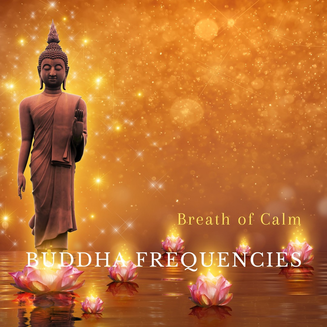 Stream Buddha S Path By Buddha Frequencies Listen Online For Free On