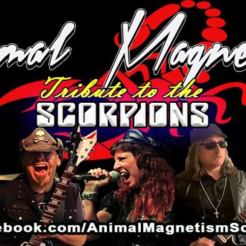 Stream Animal Magnetism - Live Medley 2024 by Dominic Cappelletti 1 ...
