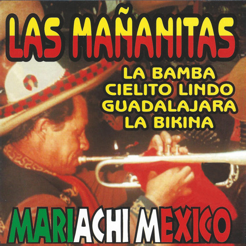 Stream Martin Sanchez Manzo | Listen to las coronelas playlist online ...