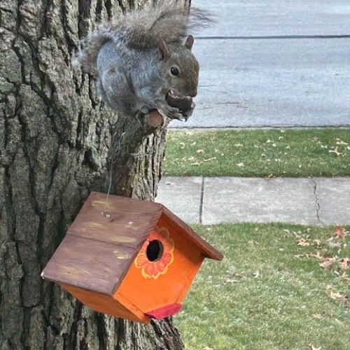 Stream This Street and Dryer Sheets by Bill Bero | Listen online for ...