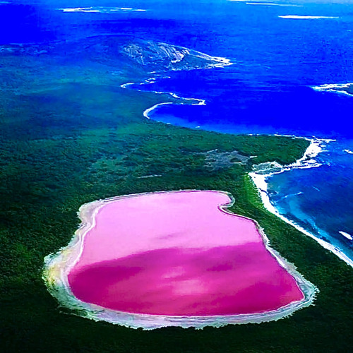 Stream ismy | Listen to Pink land playlist online for free on SoundCloud