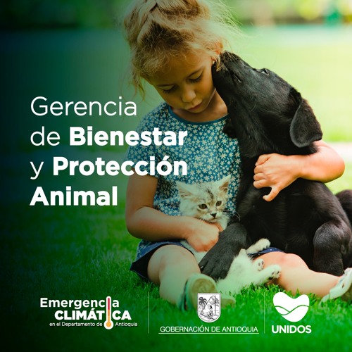 Stream episode Acción #47 - Creamos la Gerencia Protección y Bienestar Animal by Emergencia ...
