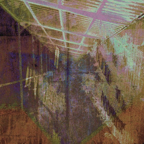 Stream cockroach rave party in your computer case by ∩∪ity | Listen ...