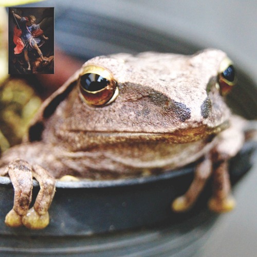 Listen to music albums featuring How to Boil Frogs: Recent Surge in ...