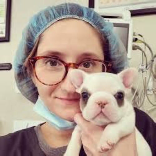 Stream episode Incorporating ERAS in Anesthesia & Analgesia by Veterinary Anesthesia Nerds ...