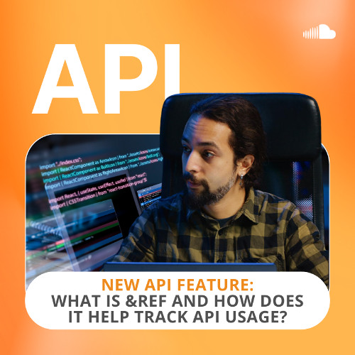 Stream New Api Feature What Is Andref And How Does It Help Track Api Usage By Searchbug