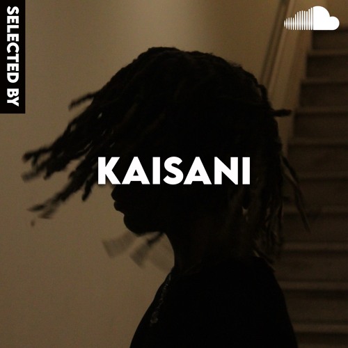 Stream kaisani (@kaisanii) | Listen to kai collection playlist online ...