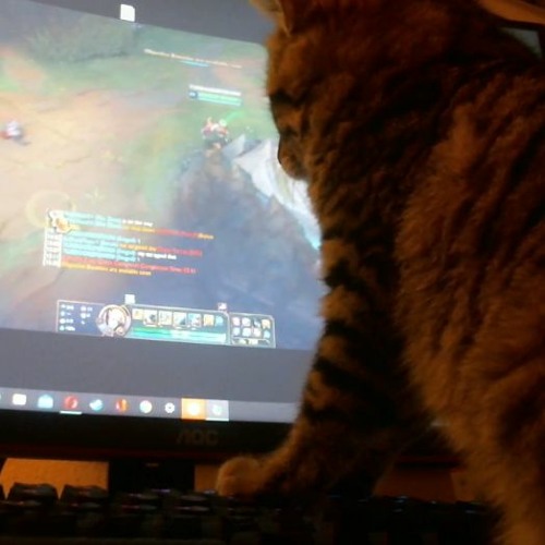 Stream dbnm | Listen to for me, impossible playlist online for free on ...