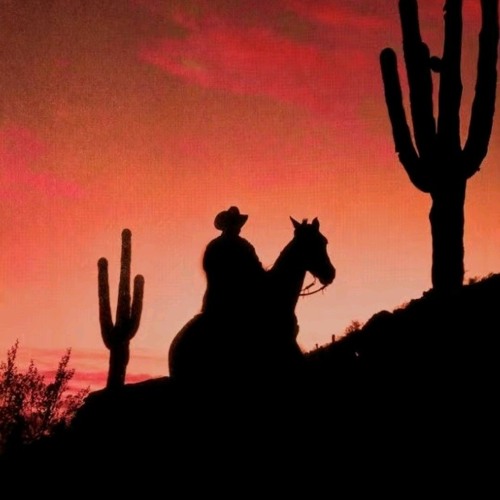 Stream Jim Adam | Listen to CowBoy grind shit playlist online for free ...