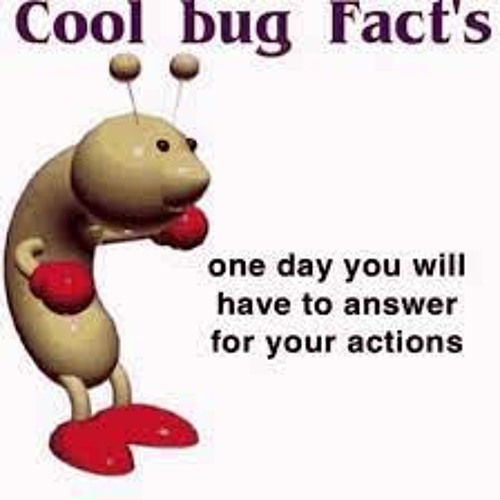 Stream Cool Bug Facts by Dawn Resonance | Listen online for free on ...