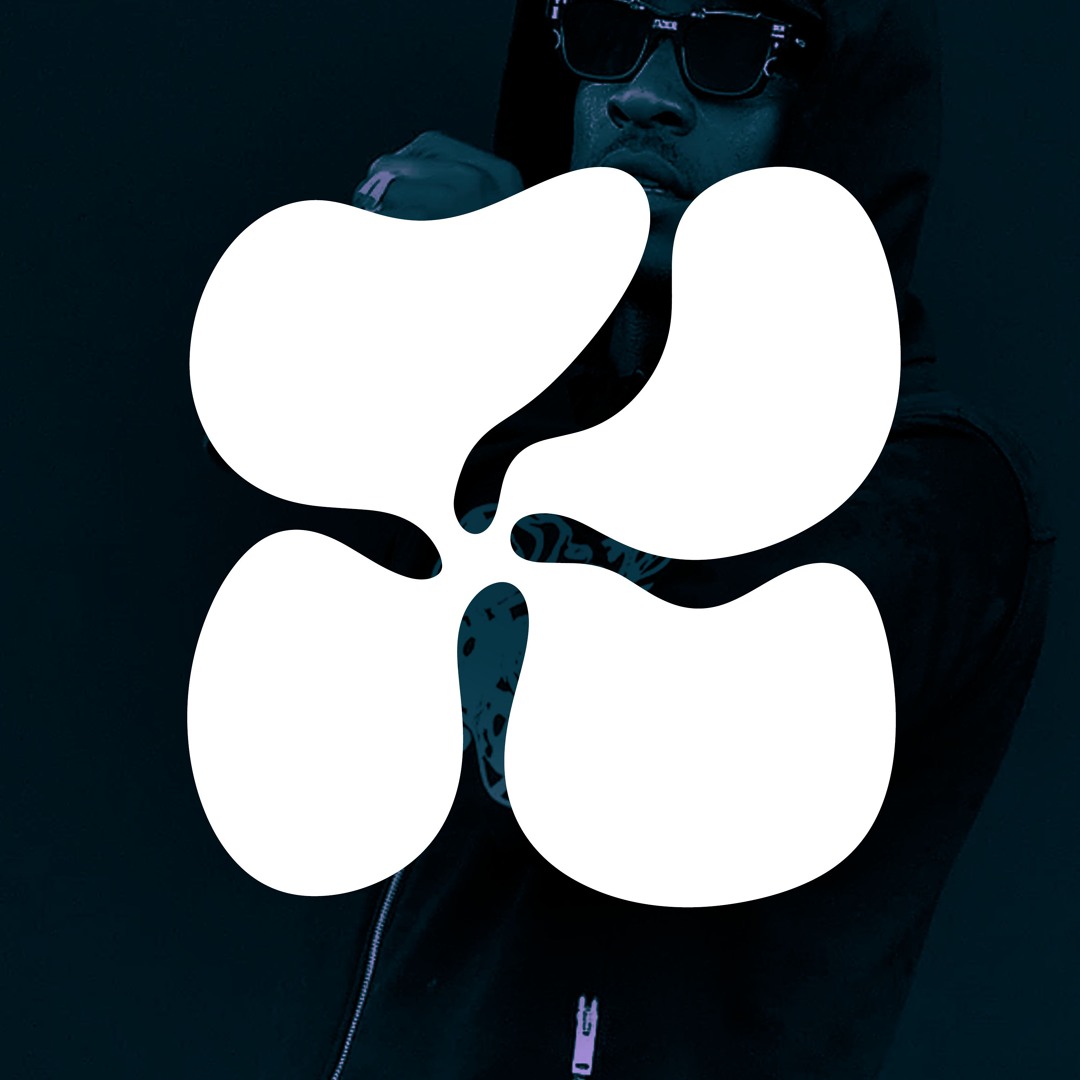 Stream newchoppainthahouse | Listen to groovy/funky playlist online for ...