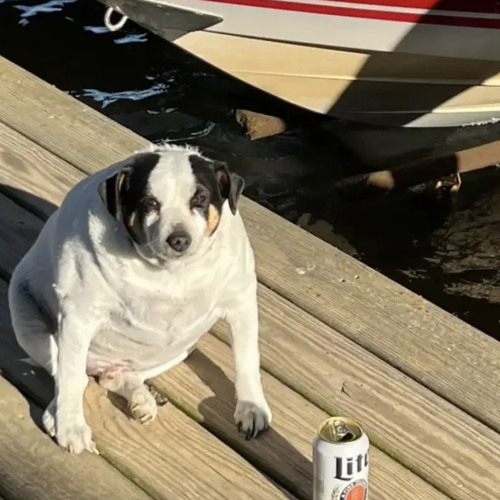 Stream logan ratliff | Listen to Locked 🫰 playlist online for free on ...