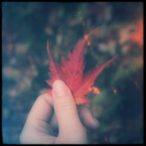 Stream autumn leaves by spy | Listen online for free on SoundCloud